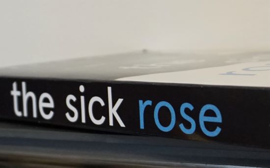 Review of ‘The Sick Rose’ by Erin Kelly – N S Ford